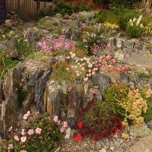 NARGS Rocks: What New in Rock Gardening 2 | North American Rock Garden ...