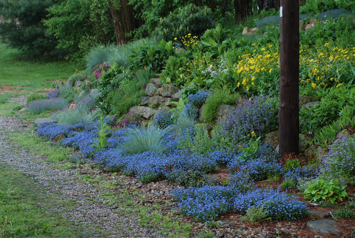 Driveway Garden | North American Rock Garden Society