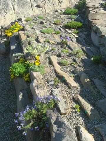 Crevice Garden | North American Rock Garden Society