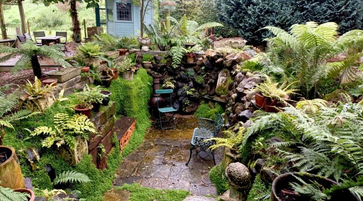 frontpage | North American Rock Garden Society
